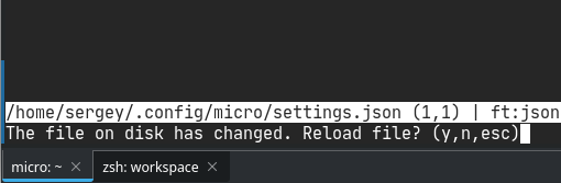 The file on disk has changed · Issue #2531 · zyedidia/micro · GitHub