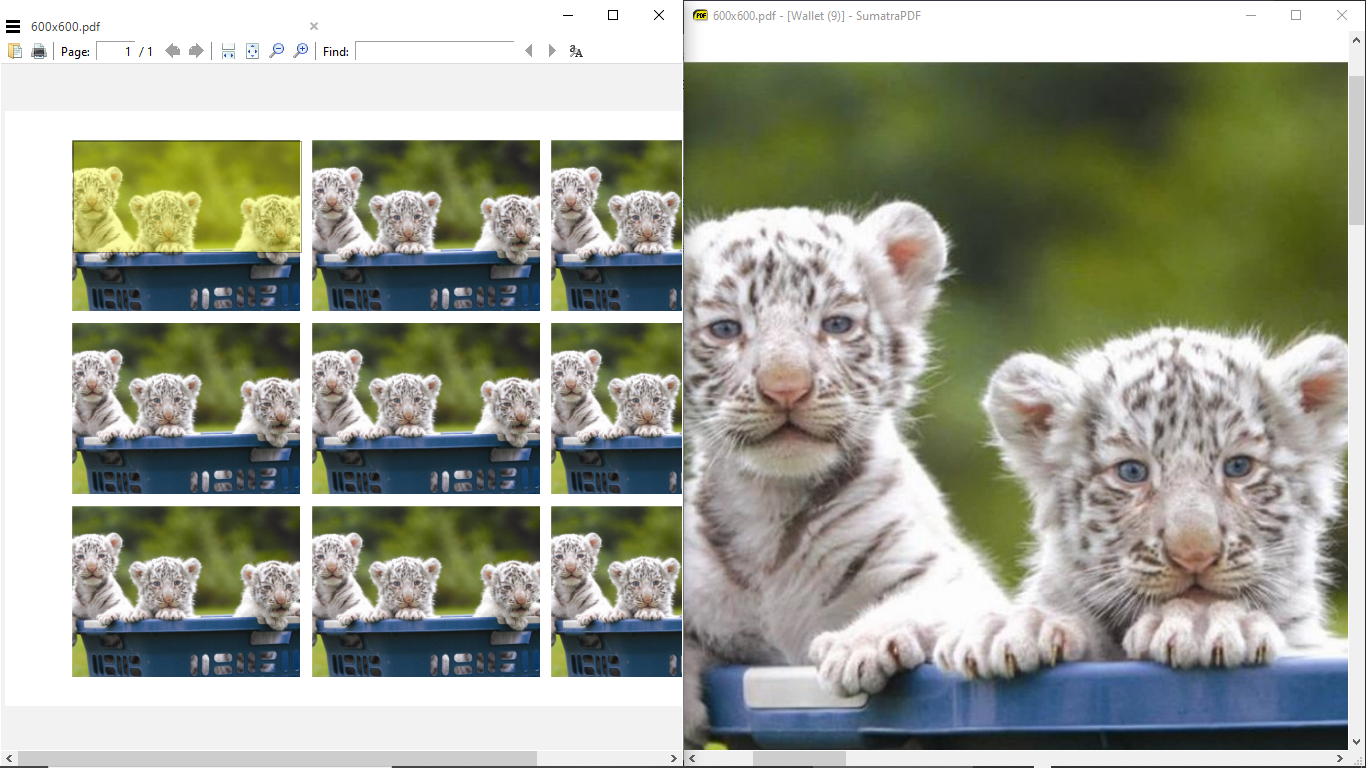 Random pages in book view or Picture In Picture (PIP) feature · Issue ...