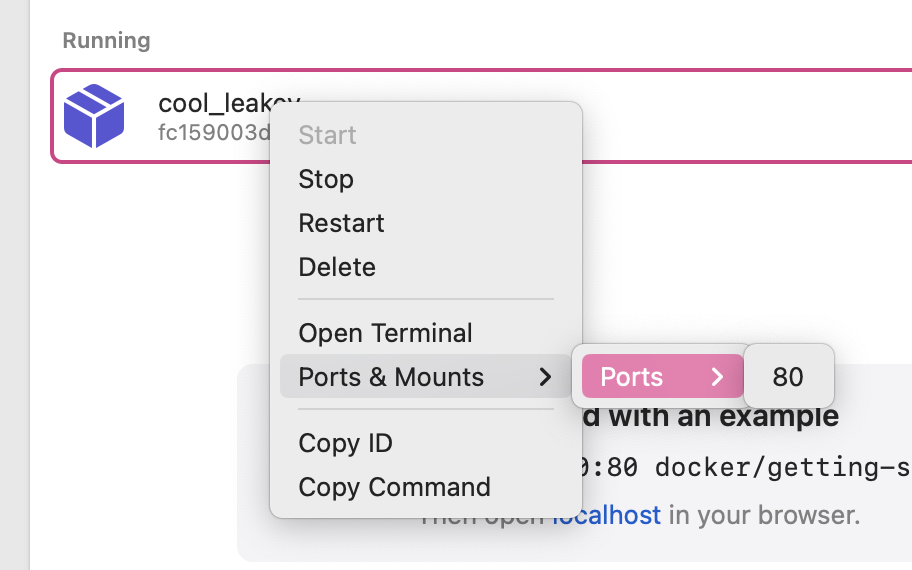 Show forwarded port from docker container to host · Issue #173 · orbstack/orbstack · GitHub