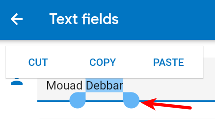 The logic for showing/hiding text selection handles should live in platform-specific code ...