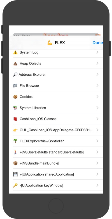 Can't display the entrance of Network History in iOS 13 · Issue #332 · FLEXTool/FLEX · GitHub