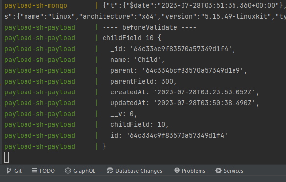 Validation doesn't run on conditional field · Issue #3093 · payloadcms/payload · GitHub