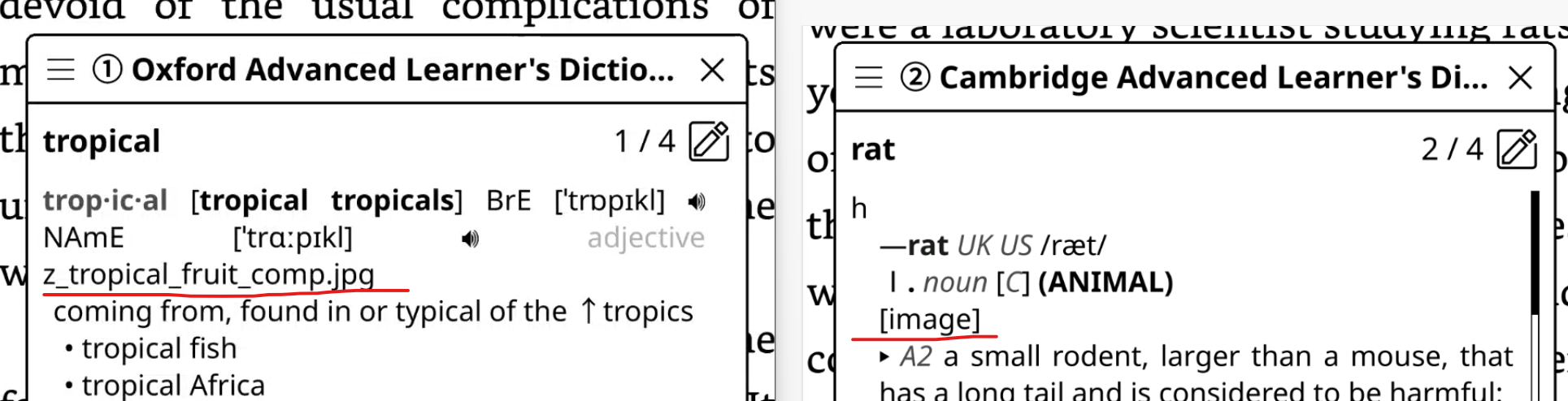 Editing lua file to make dictionaries more readable · Issue #10672 · koreader/koreader · GitHub