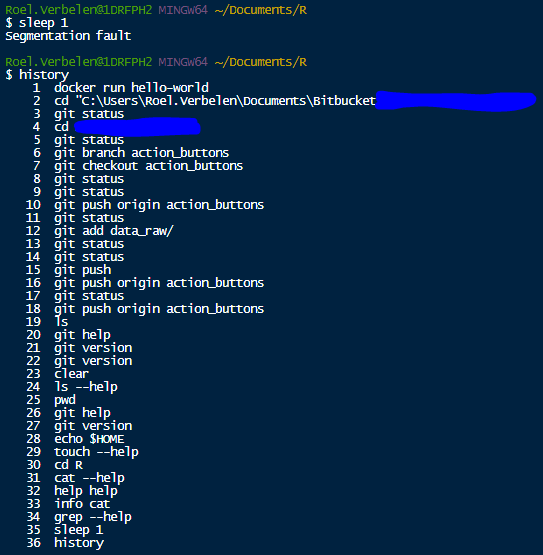 Terminal pane no longer working after upgrading to RStudio v1.3 · Issue ...