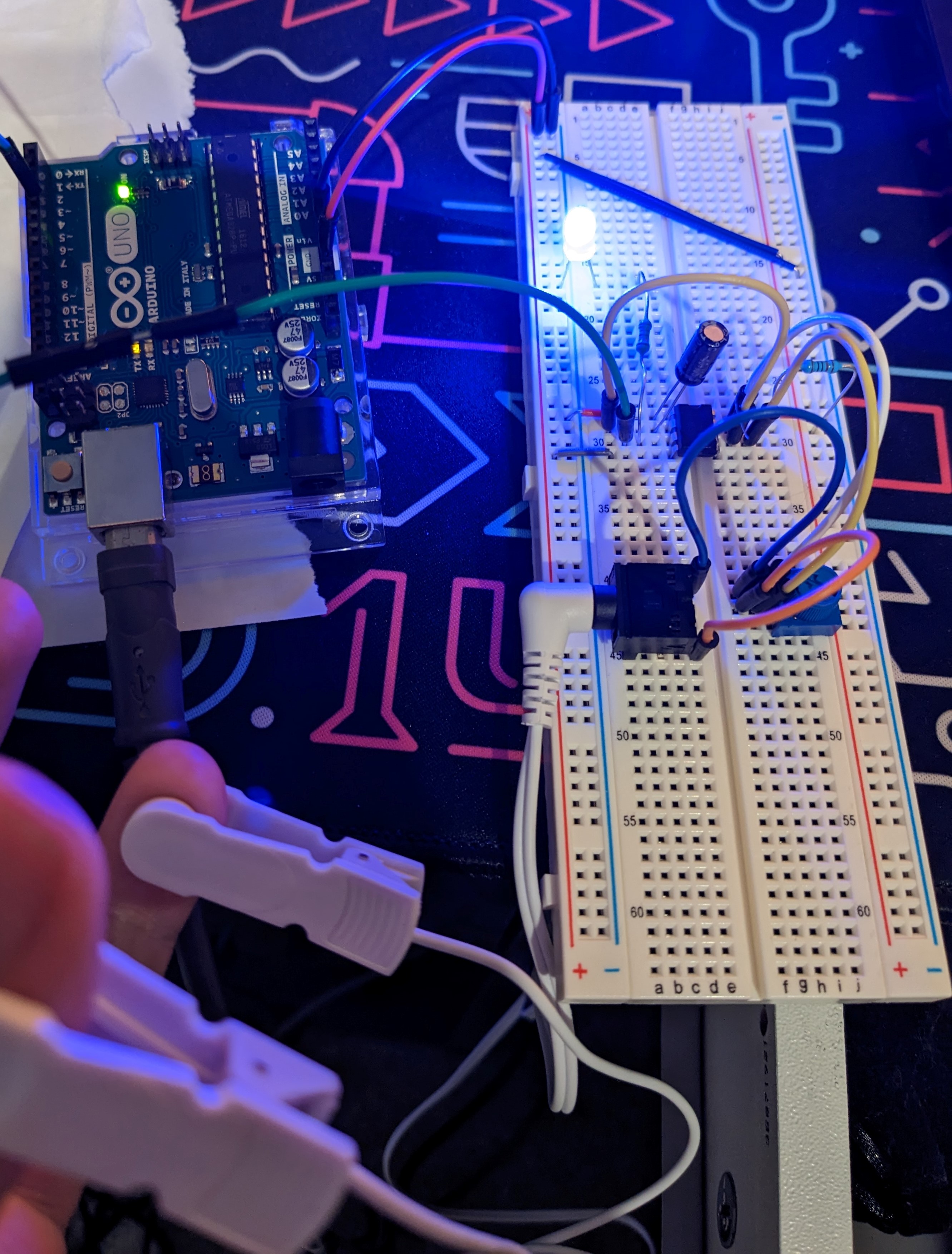 GitHub - ABryans672/mushroomExhibition: Collaboration with Diana Puntar ...