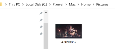 以网络位置作为下载路径，地址出现错误/下载进度条bug · Issue #165 · Pixeval/Pixeval · GitHub