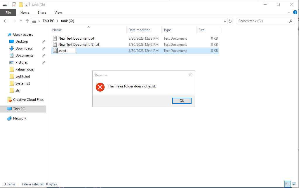 Can´t rename any file in a dataset · Issue #215 · openzfsonwindows/openzfs · GitHub