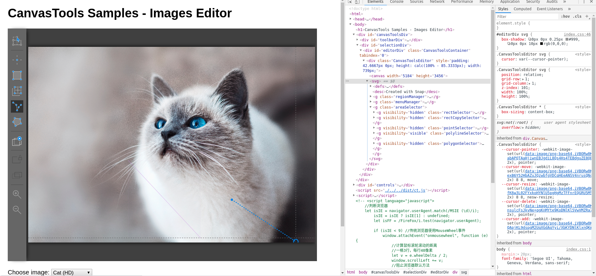 Encountered a problem with label offset · Issue #82 · microsoft/CanvasTools-for-VOTT · GitHub