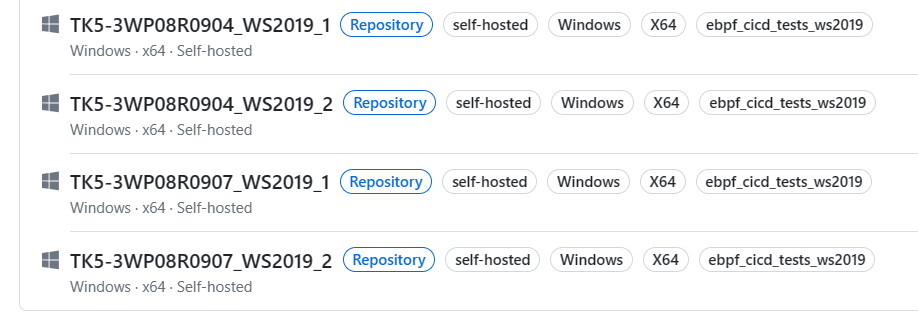 Workflow failed - driver_ws2019 · Issue #2873 · microsoft/ebpf-for-windows · GitHub