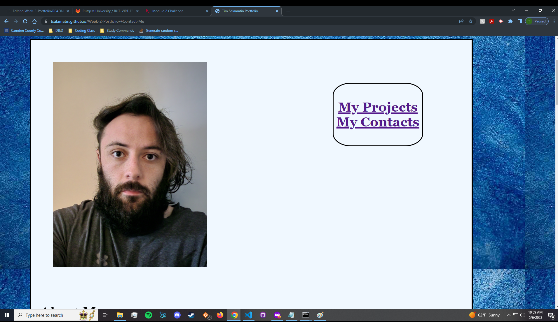 GitHub - TSalamatin/Growing-Portfolio
