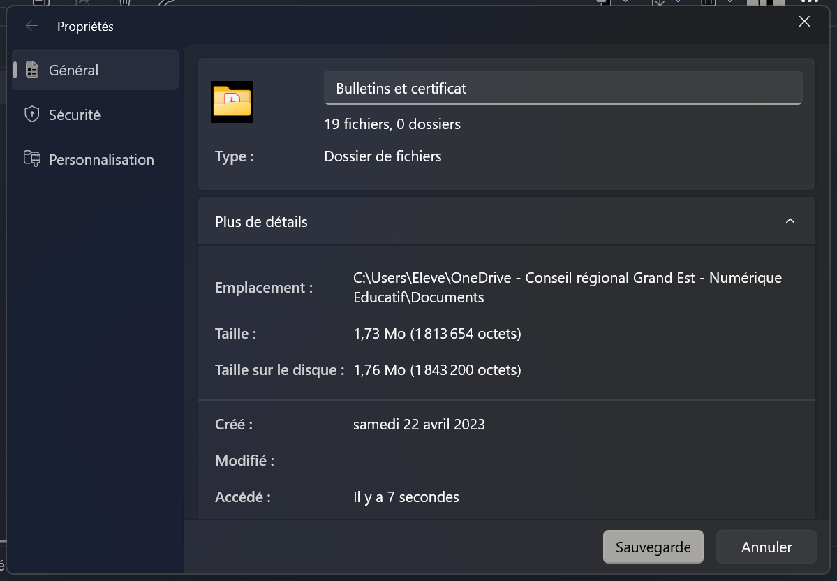 Bug Inaccurate Properties Display Issue When Applying Tags · Issue 13185 · Files Community