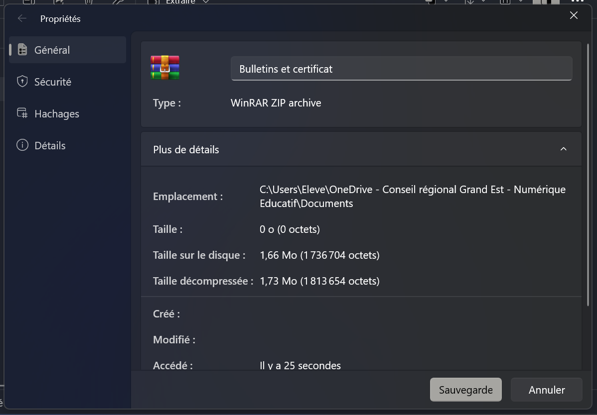 Bug: Inaccurate Properties Display Issue when Applying Tags · Issue #13185 · files-community ...
