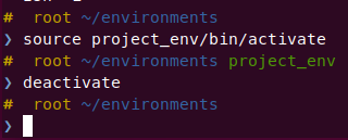 Prompt hangs upon exit of virtualenv · Issue #17 · romkatv/powerlevel10k · GitHub