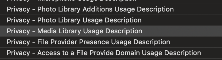 Filesystem dont request permission in iOS (The file doesn´t exists) · Issue #1780 · ionic-team ...
