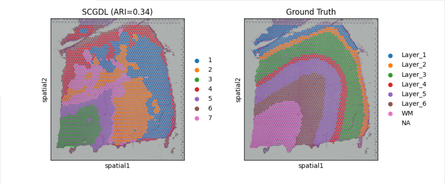 Questions about DLPFC dataset · Issue #2 · narutoten520/SCGDL · GitHub
