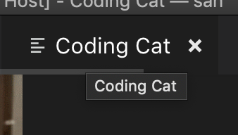 Webview tab title (tooltip) is not friendly · Issue #56853 · microsoft/vscode · GitHub