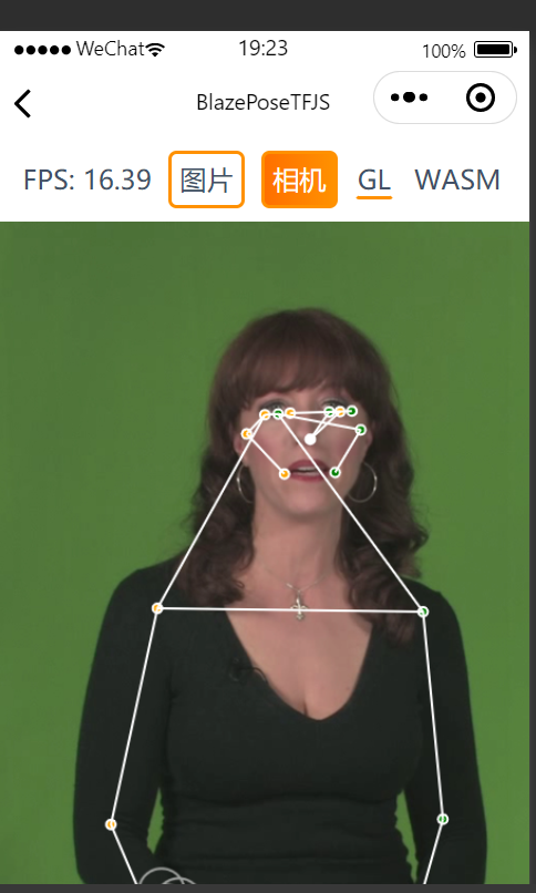 blazepose有运行成功过吗？ · Issue #3 · deepkolos/wxmp-tensorflow · GitHub