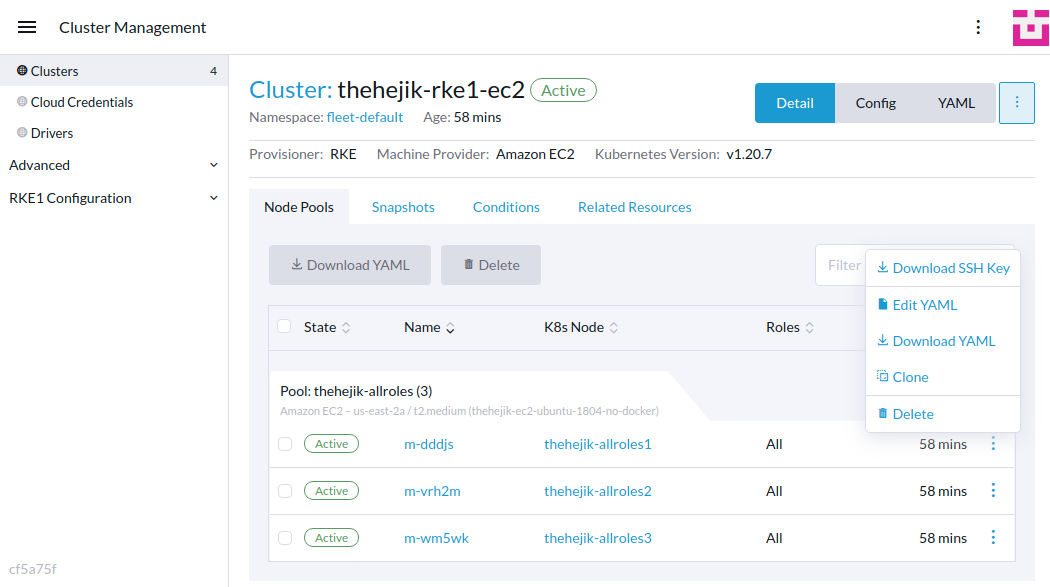 Missing "SSH Shell" menu entry for RKE1 nodes deployed by cloud node drivers · Issue #3419 ...