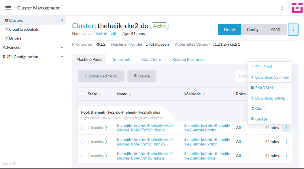 Missing "SSH Shell" menu entry for RKE1 nodes deployed by cloud node drivers · Issue #3419 ...