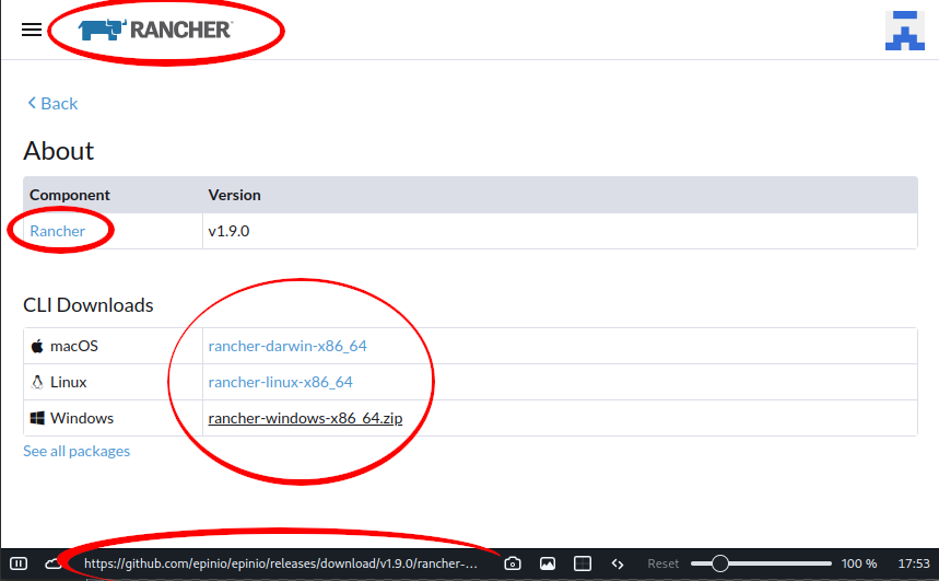 [ui] Links From Epinio Extension For Downloading Epinio Cli Pointing To Rancher Instead · Issue