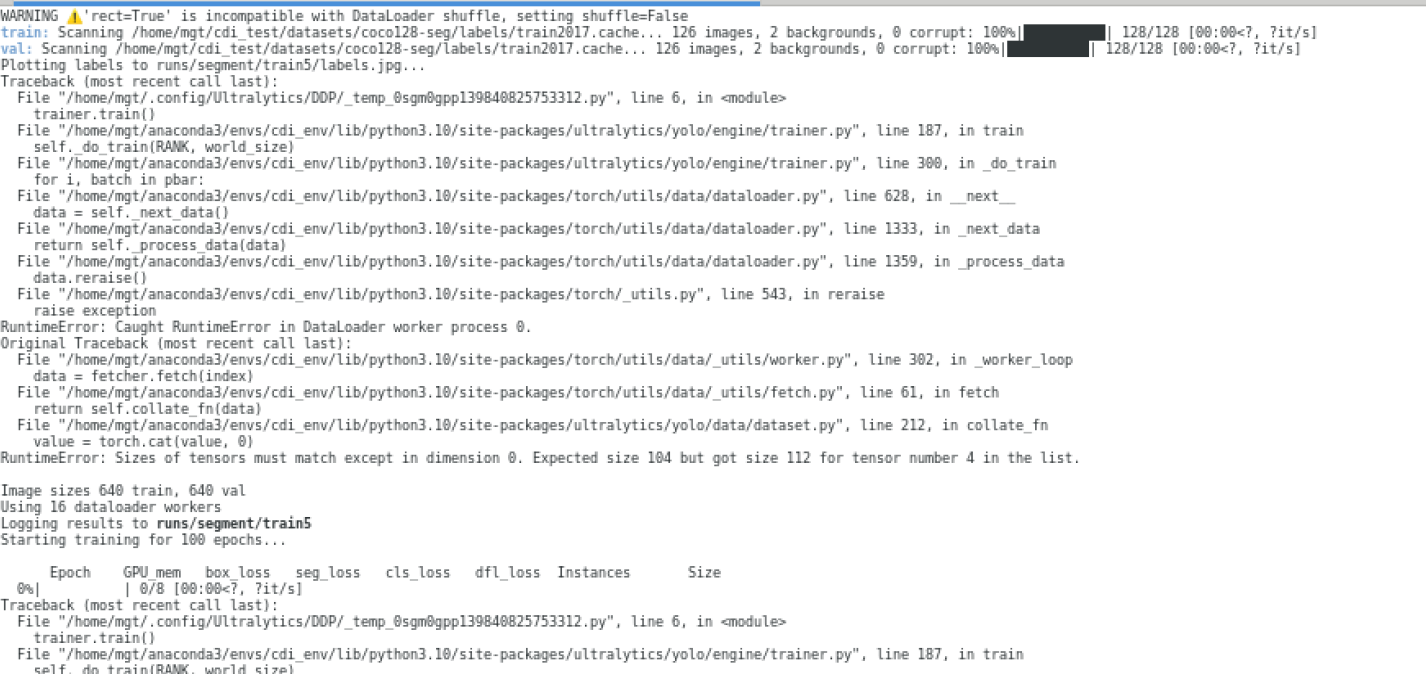 When I Add Rect Arg Runtimeerror Sizes Of Tensors Must Match Except In Dimension 0