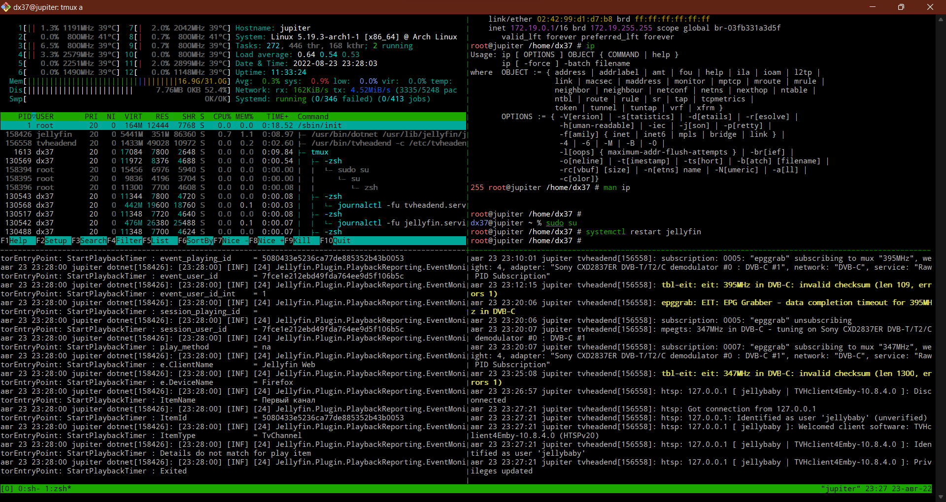 [Issue]: Jellyfin can't connect to TVHeadend to play channel, but can refresh guide · Issue ...