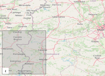 OverviewMap Assertion failed when the view changes (Error #1: "The view center is not defined ...