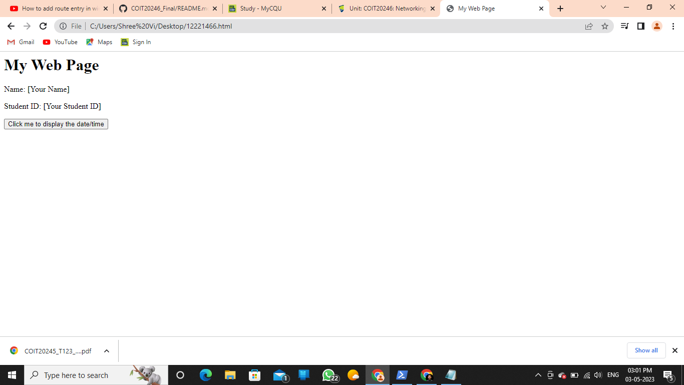 GitHub - ptldarshit/COIT20246_Final