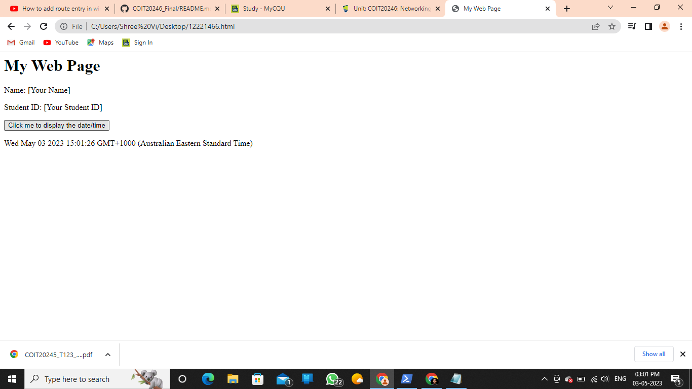 GitHub - ptldarshit/COIT20246_Final