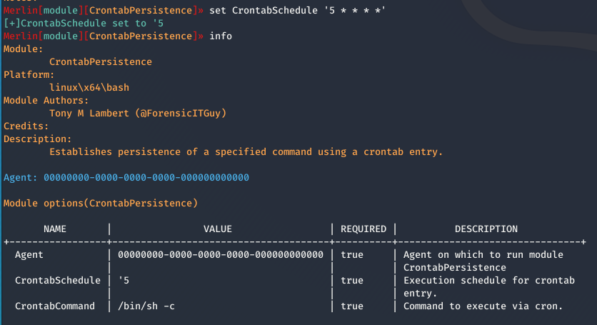 Failling to parse options on modules · Issue #88 · Ne0nd0g/merlin · GitHub
