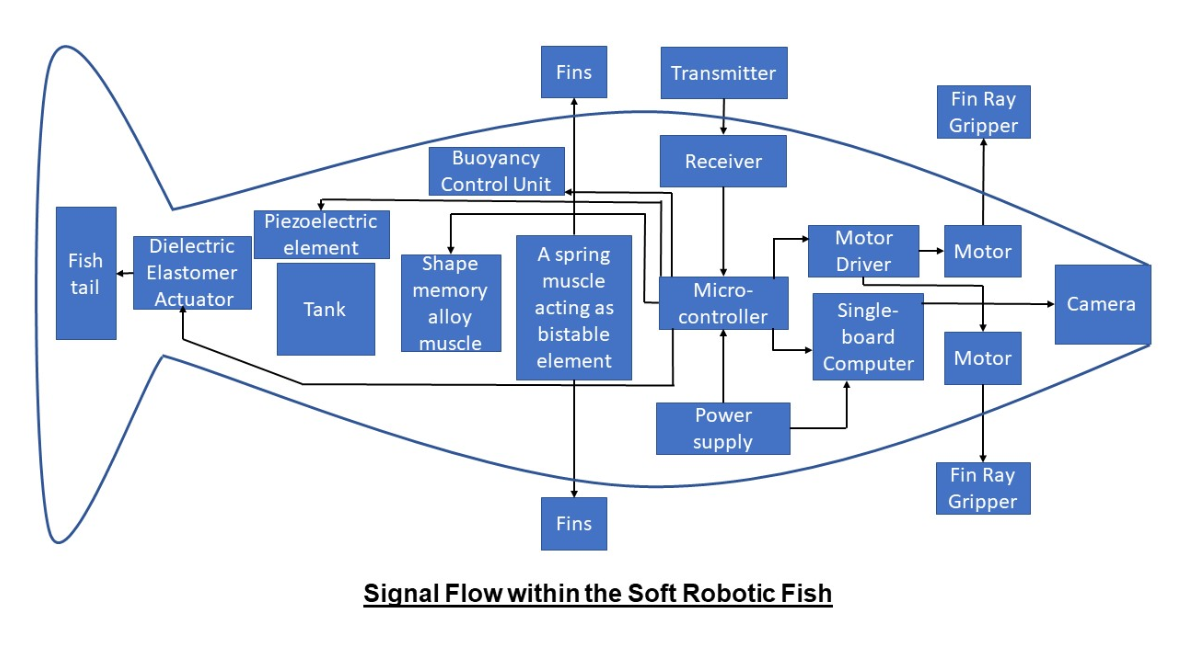 GitHub - nk-16/Soft-robotic-fish: Worked on an ideation competition ...