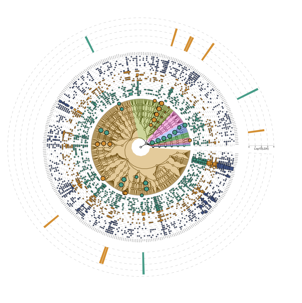 Biomarker discovery: Error in if (nrow(tmpkeepfeature) > 0 ...
