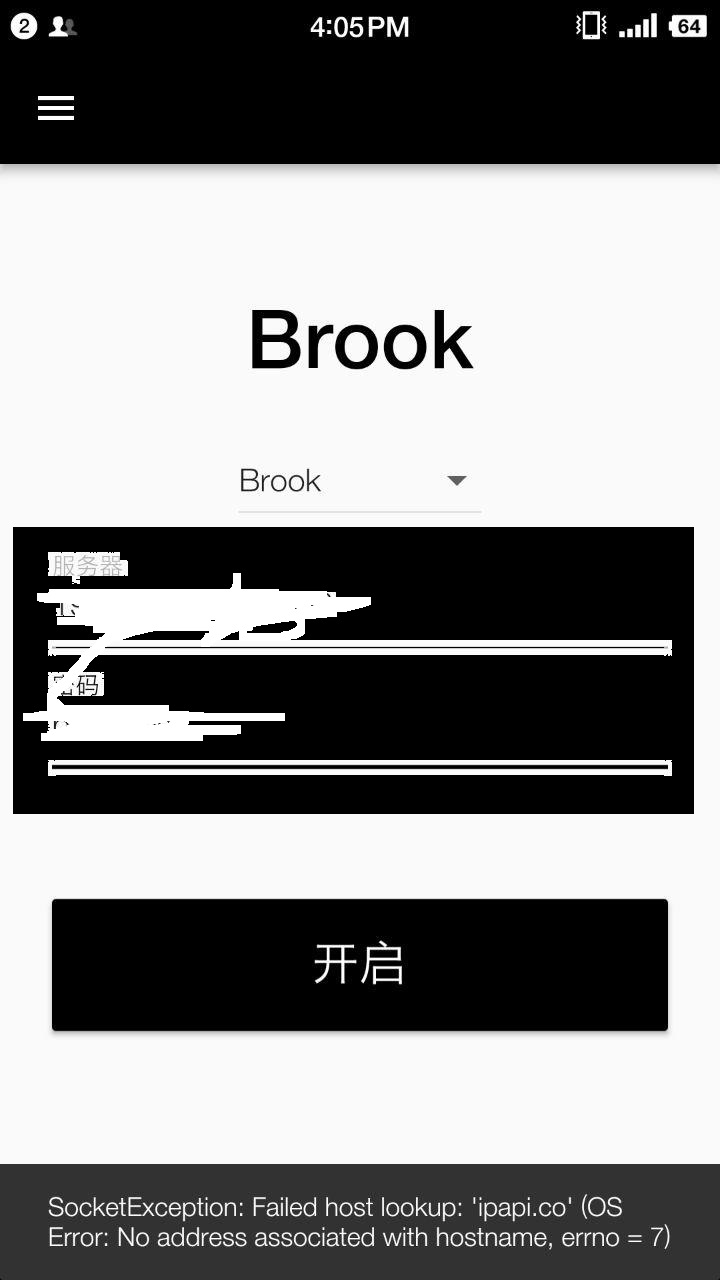 坚果pro使用brook出现以下情况，求助 · Issue #234 · txthinking/brook · GitHub
