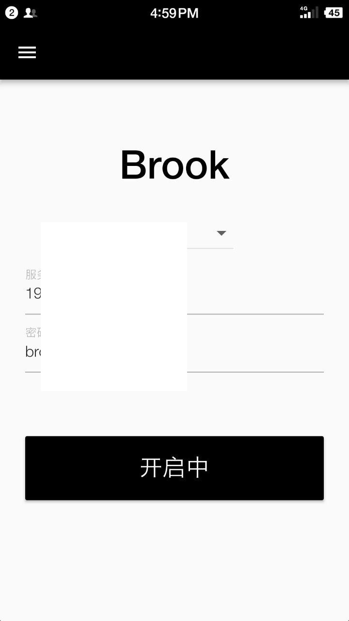 坚果pro使用brook出现以下情况，求助 · Issue #234 · txthinking/brook · GitHub