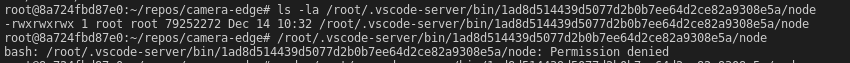 Remote Ssh Bug Attach To Running Container Node Server Permission Error · Issue 7719