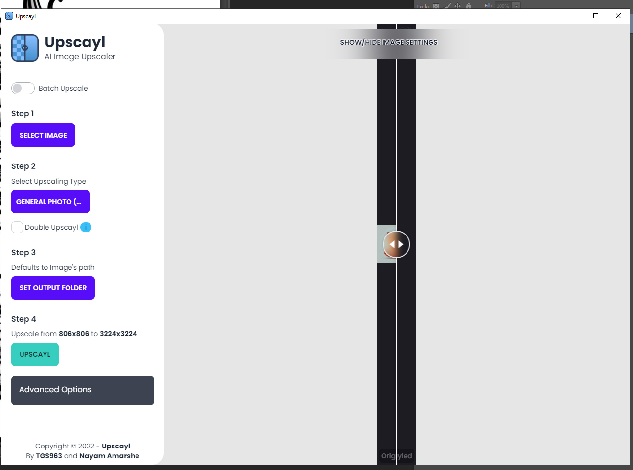 Upscayl Does Not Upscale · Issue 229 · Upscayl Upscayl · Github