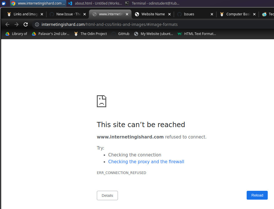 HTML Foundations > Links and Images > Invalid Assignment Link · Issue #25352 · TheOdinProject ...