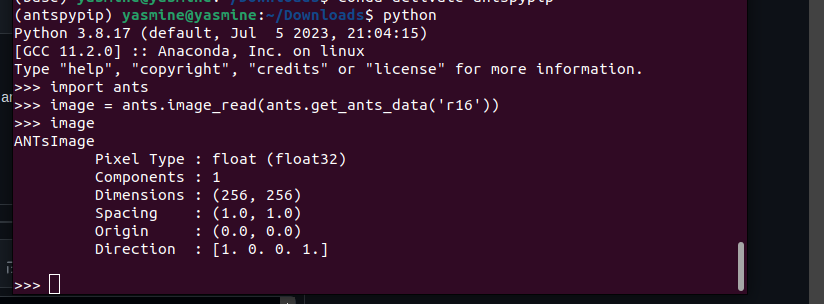 Having trouble installing ANTS. · Issue #490 · ANTsX/ANTsPy · GitHub