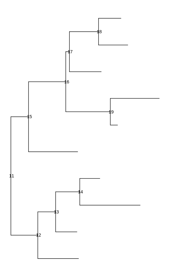 geom_nodelab() blank for circular trees · Issue #374 · YuLab-SMU/ggtree ...