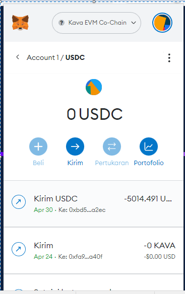 Kava 10: im using plexus.app fo bridge from kava-usdc to bsc-usdc. · Issue #7375 · blockscout ...