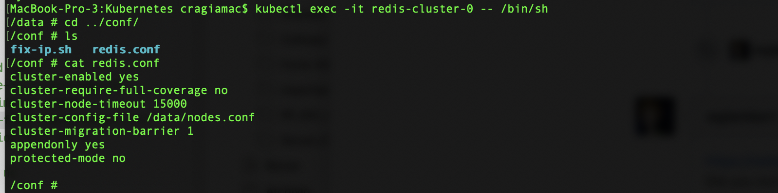 redis cluster: nodes.conf file empty · Issue #210 · redis/docker-library-redis · GitHub