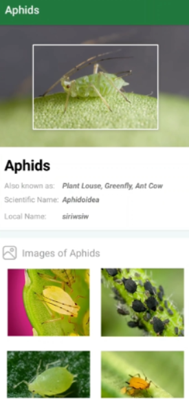 GitHub - stevefrancis02/PEST-DETECTOR-A-MOBILE-APPLICATION-FOR ...