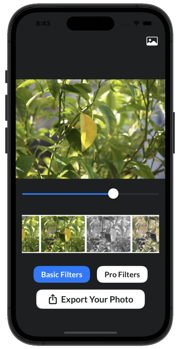 ChirvaDev (Dmytro) · GitHub