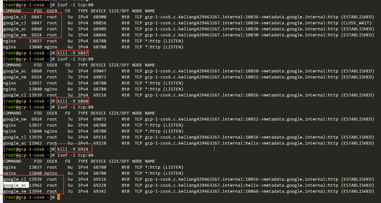 Google云(GCE)安装时发生的80端口被占用问题 · Issue #5 · wulabing/Xray_onekey · GitHub