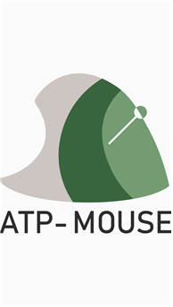 GitHub - namgyeonghyeon/ATP_MOUSE