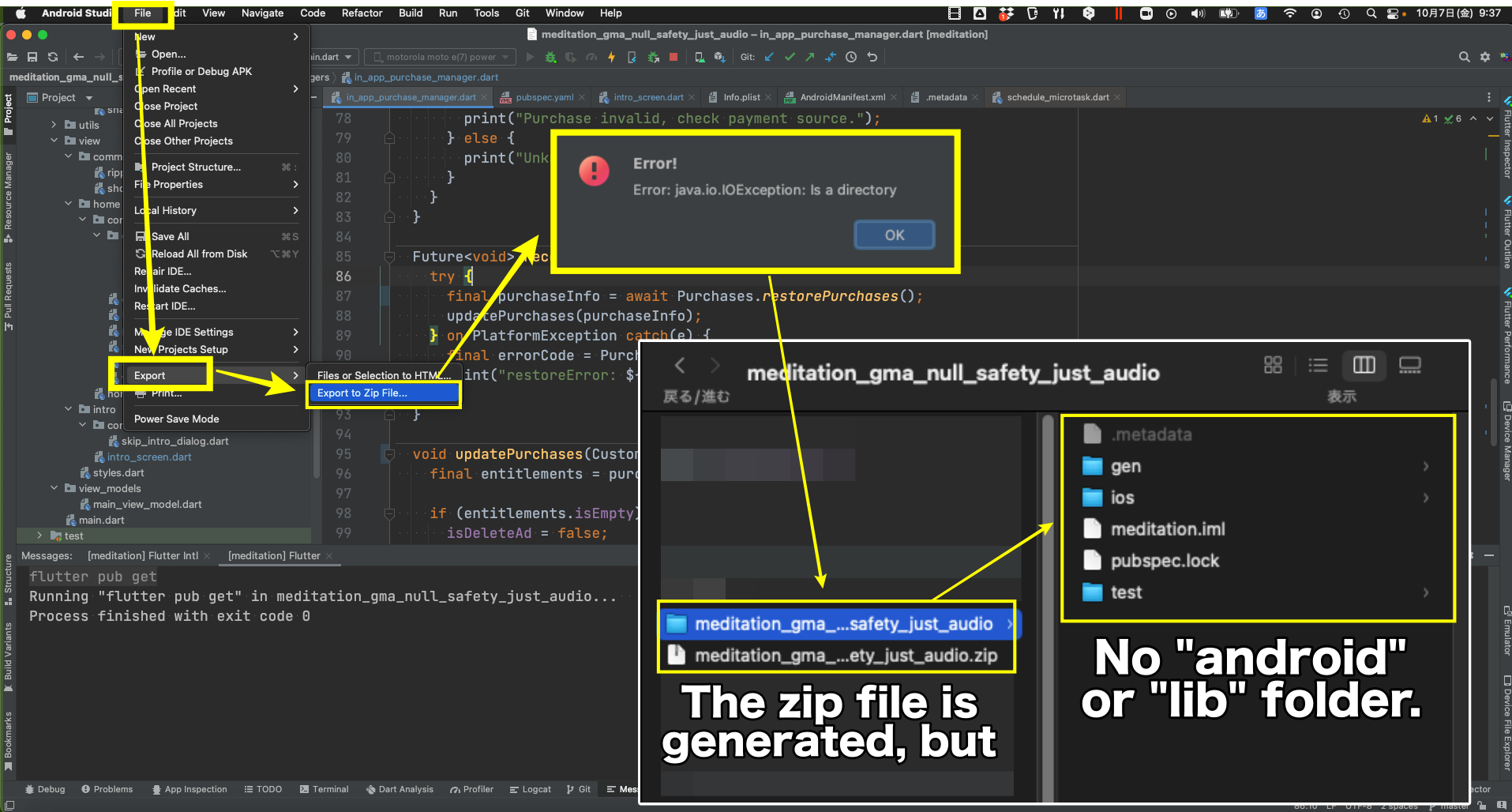 Android Studio Dolphin Fails To Export Flutter Project To Zip File On Mac Error Java is 