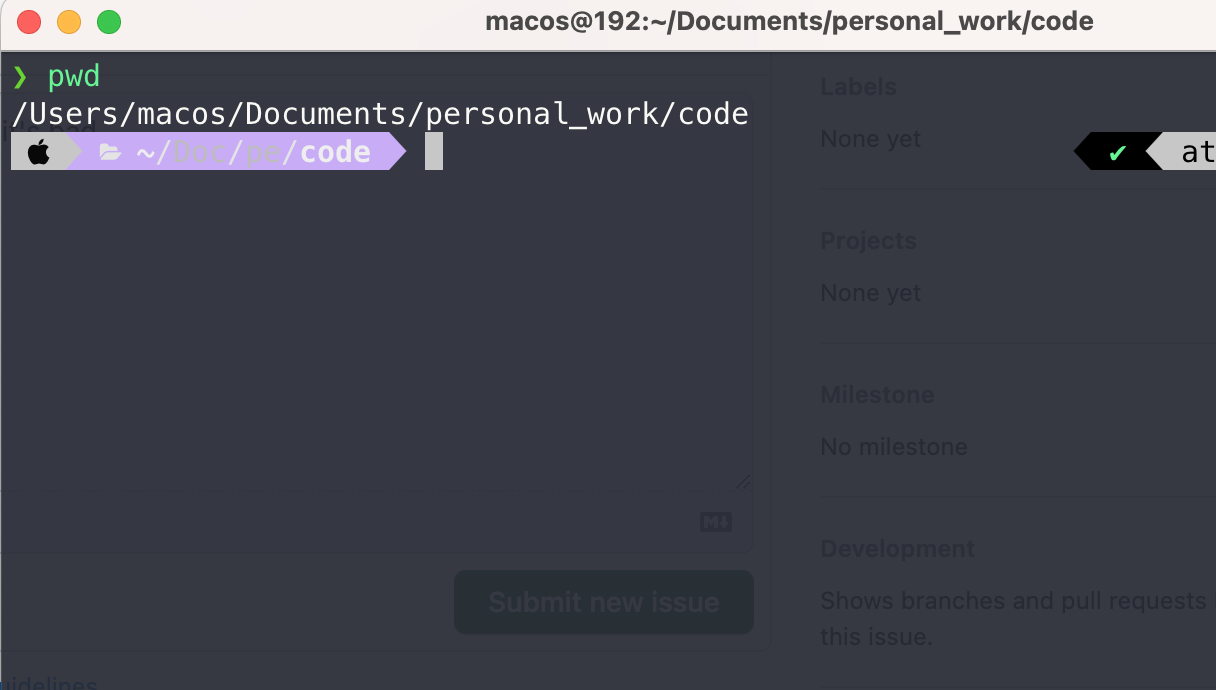 my terminal looks like bad · Issue #2321 · romkatv/powerlevel10k · GitHub