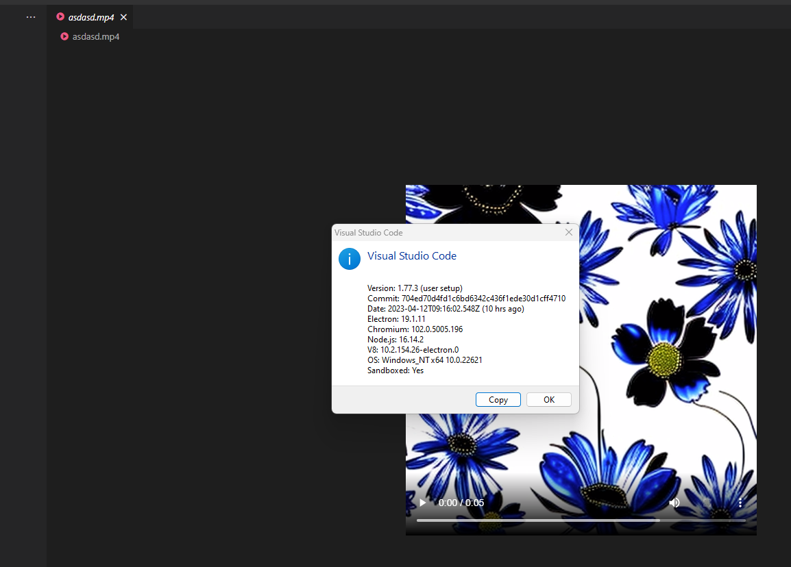Does not reproduce videos · Issue #179799 · microsoft/vscode · GitHub