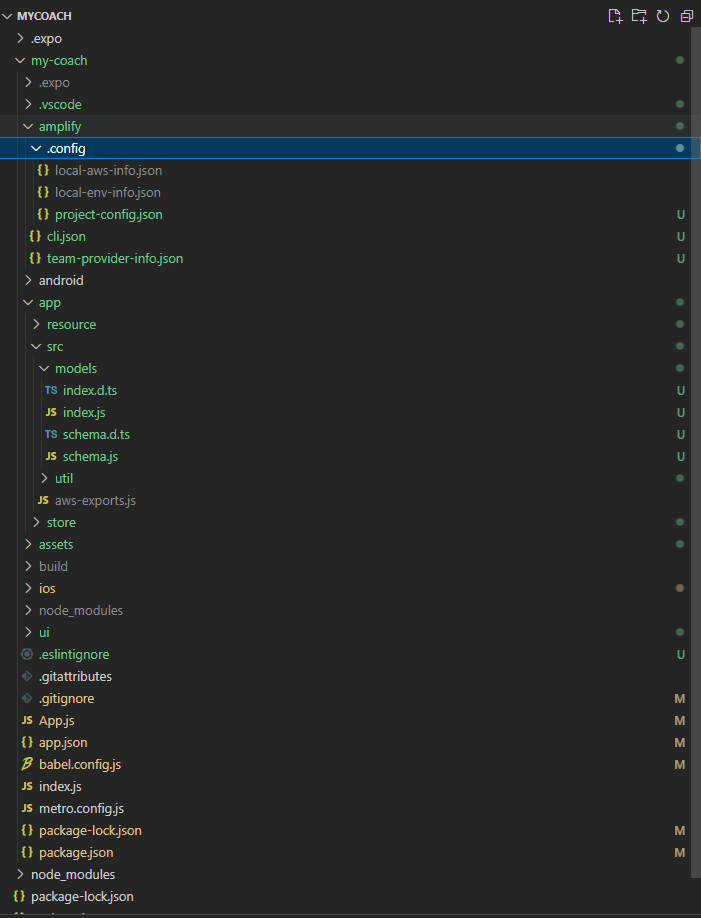 Amplify Backend Amplify Meta Json Does Not Exist · Issue 3426 · Aws Amplify Amplify Hosting