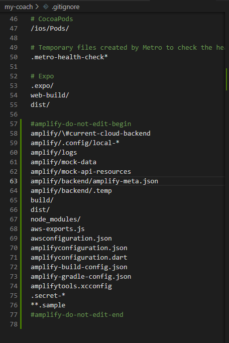 Amplify Backend Amplify Meta Json Does Not Exist · Issue 3426 · Aws Amplify Amplify Hosting